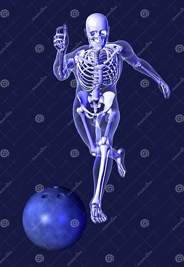 X-ray Skeleton - Bowling stock illustration. Illustration of bowler ...