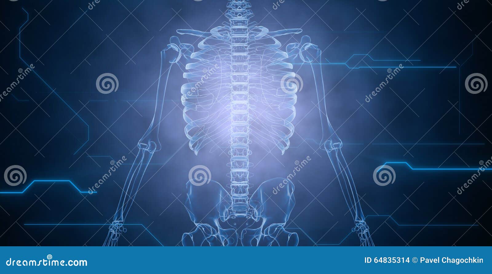 X Ray Skeleton Skelet Body. Anatomy Concept. 3d Render Royalty-Free ...