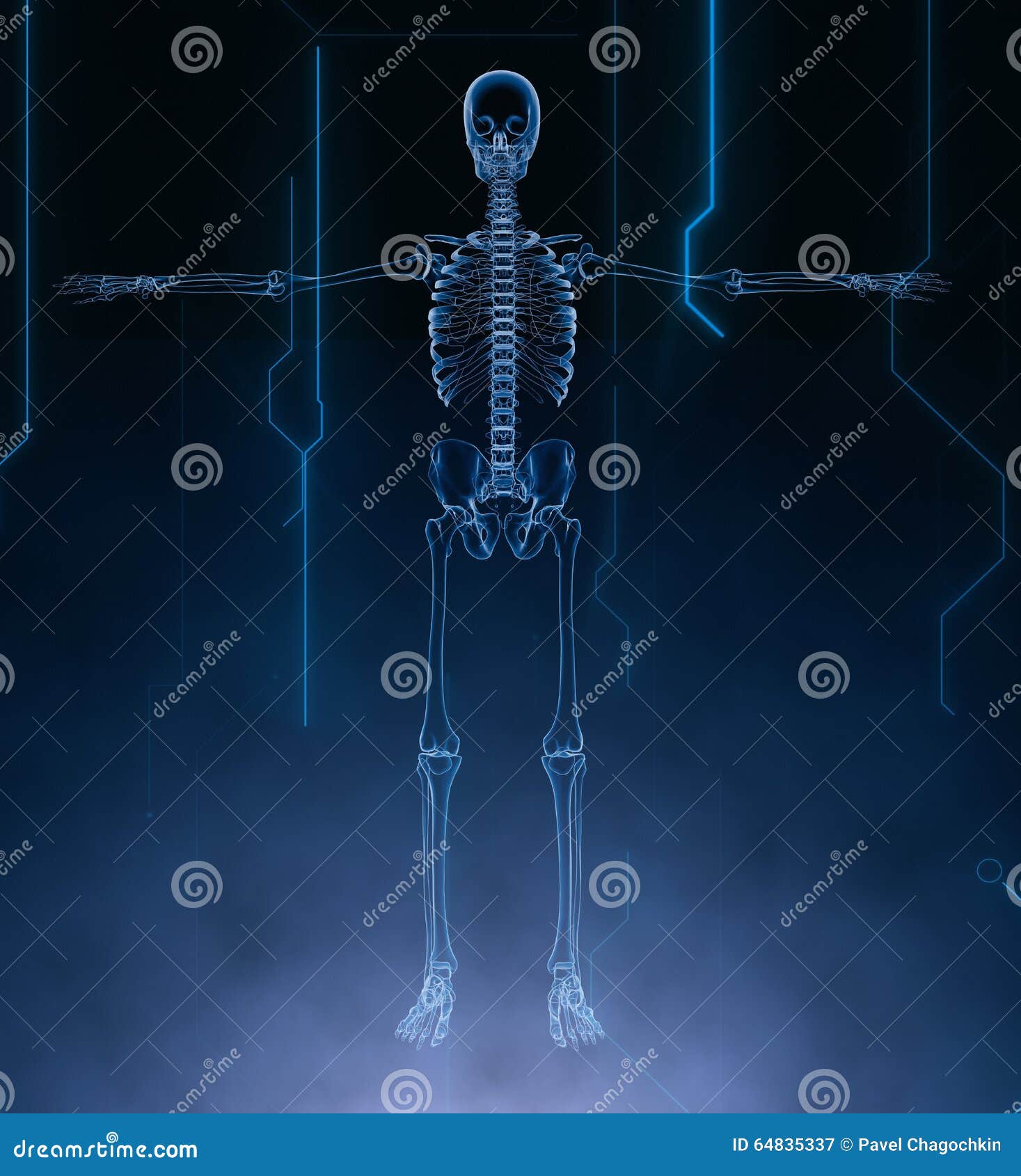 X Ray Skeleton Skelet Body. Anatomy Concept. 3d Render Royalty-Free ...