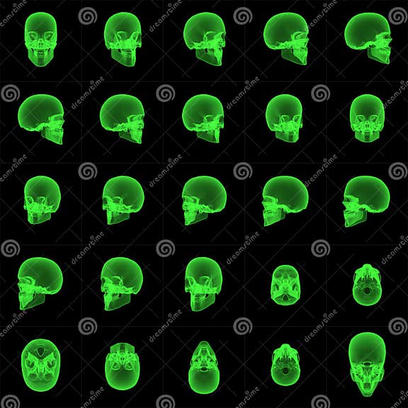X-ray Skull Sequence stock illustration. Illustration of anatomy - 1159043