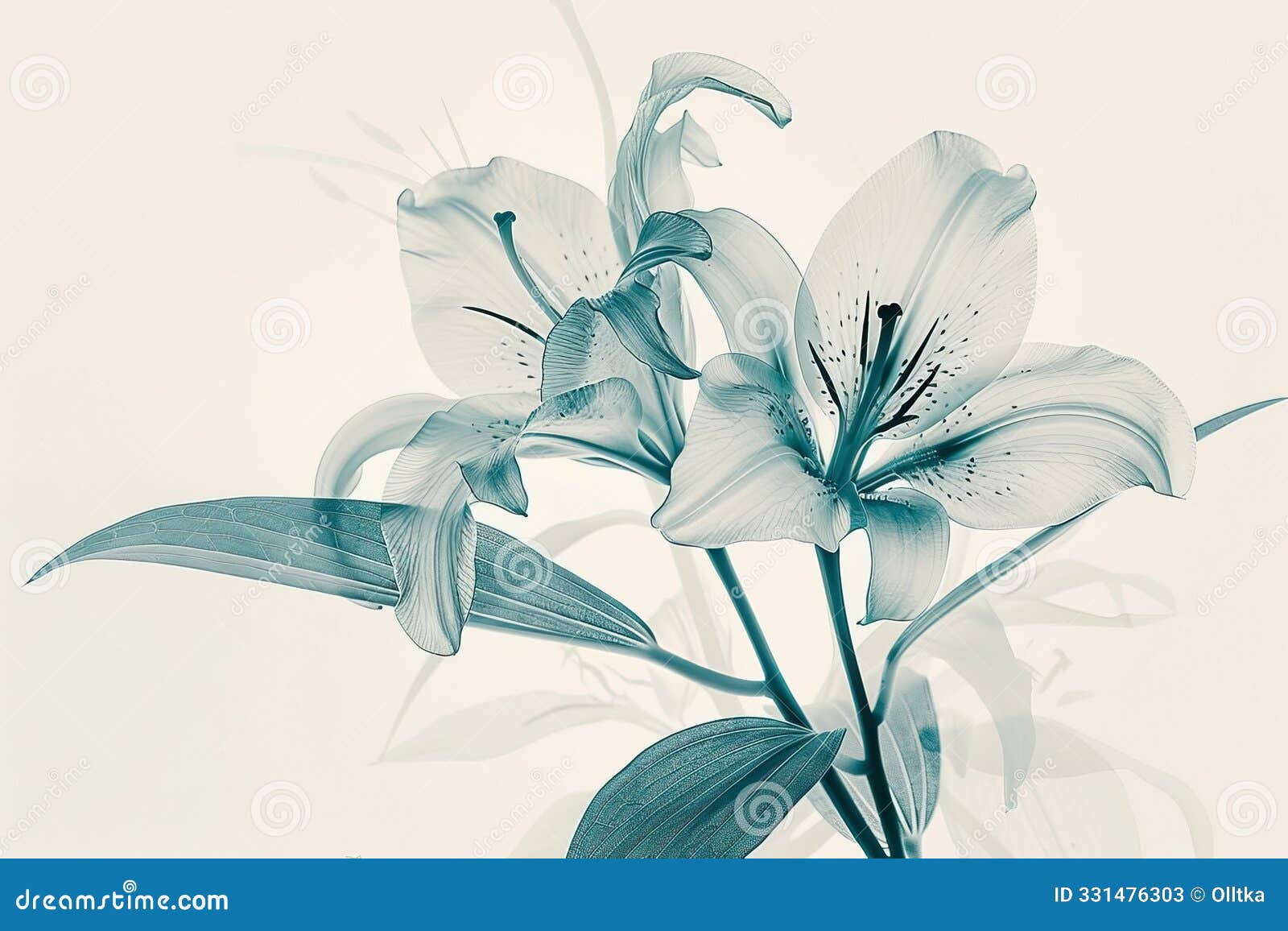 X-ray Style Image of Delicate Lilies, Showcasing Detailed Floral ...