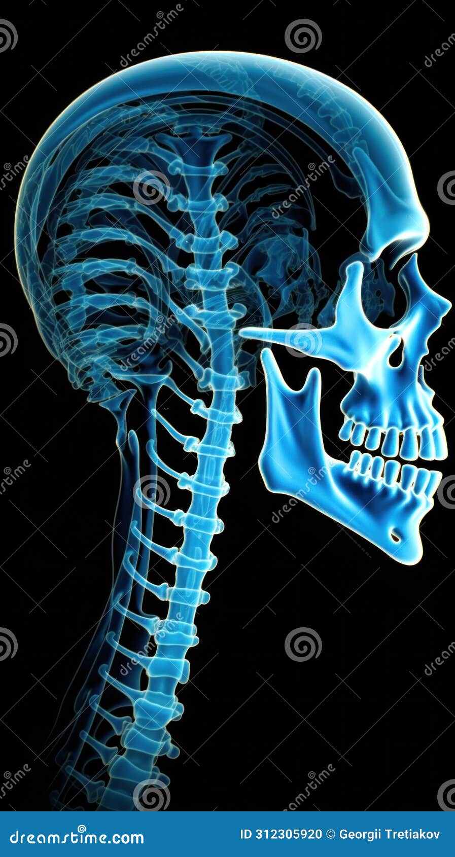 X-Ray View of Human Skull and Cervical Spine Stock Illustration ...