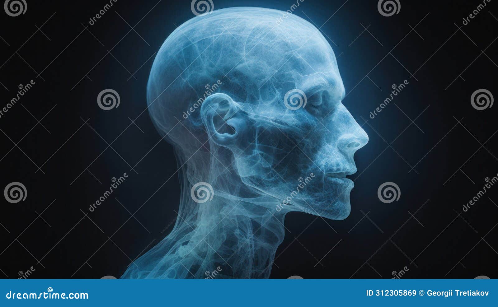 X-Ray Visualization of Human Head and Cervical Spine Stock Illustration ...