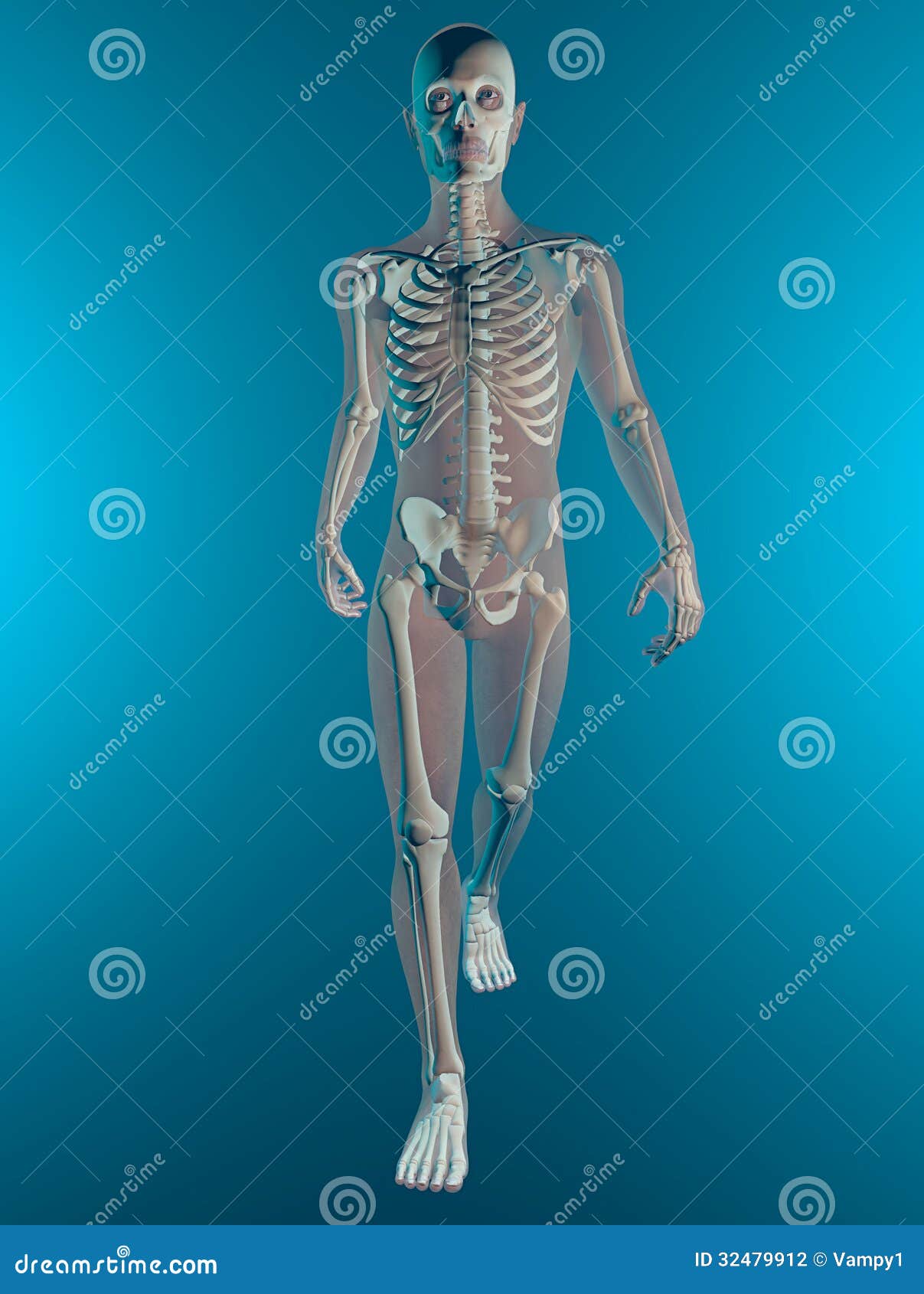 Walking Man. 3D Human Body Model. Geometric Design. Human Body Wire ...