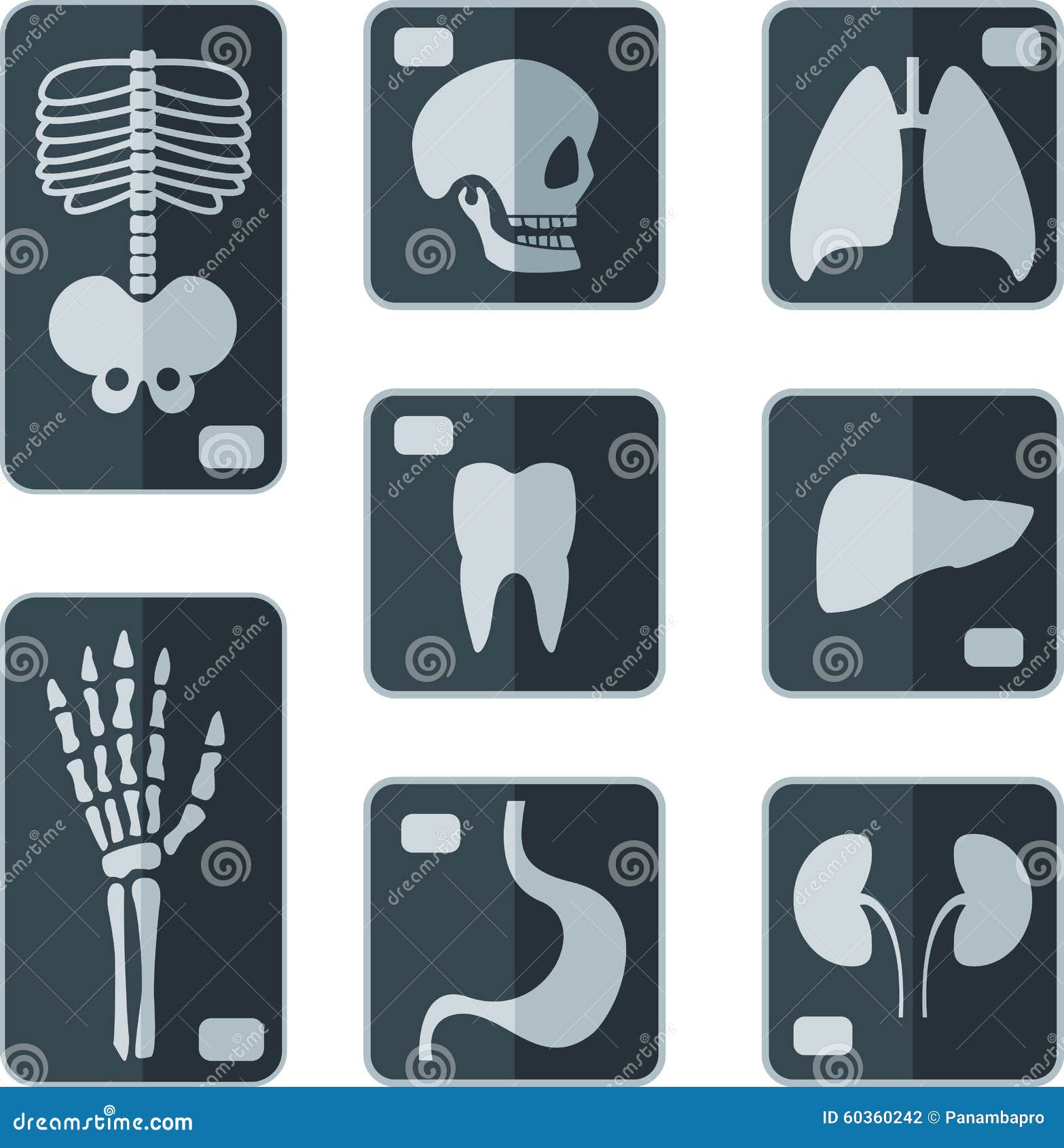 X-rays icon stock vector. Illustration of bone, radiology - 60360242