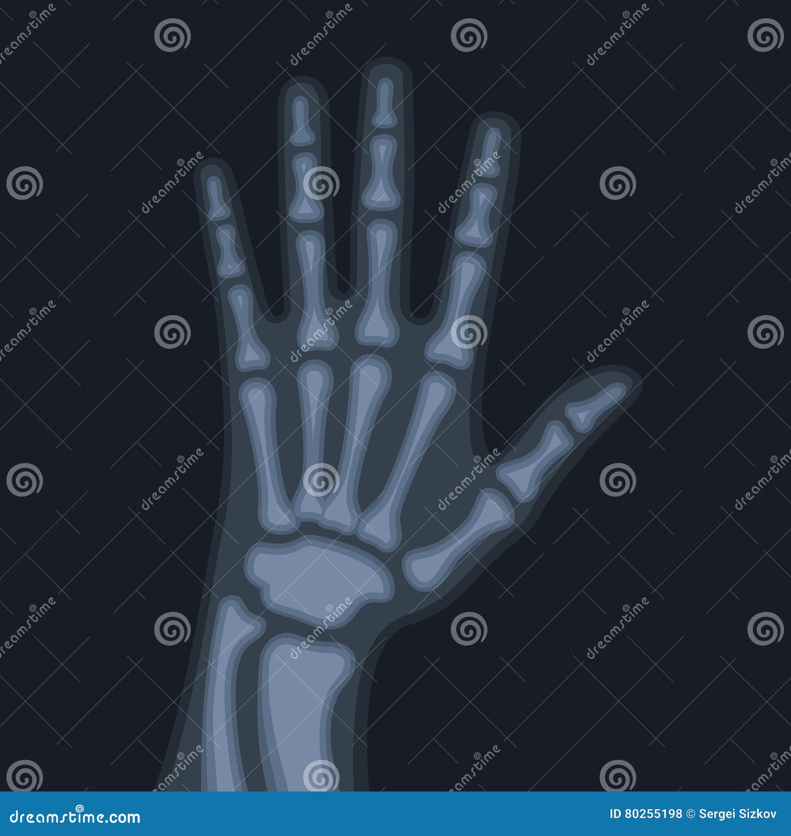 X Rays Style Human Hand. Vector Stock Vector - Illustration of black ...