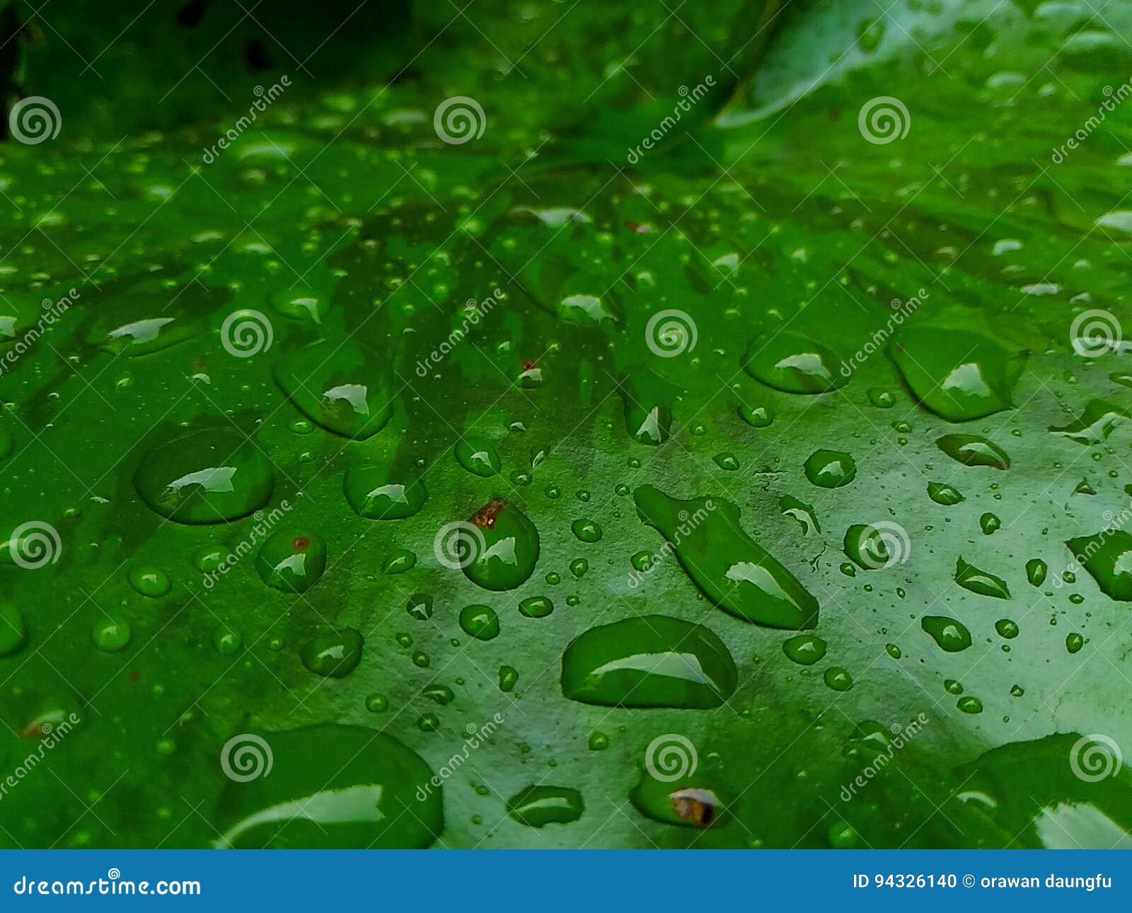 It& X27; S Che Inizia a Piovere Fotografia Stock - Immagine di oggi ...