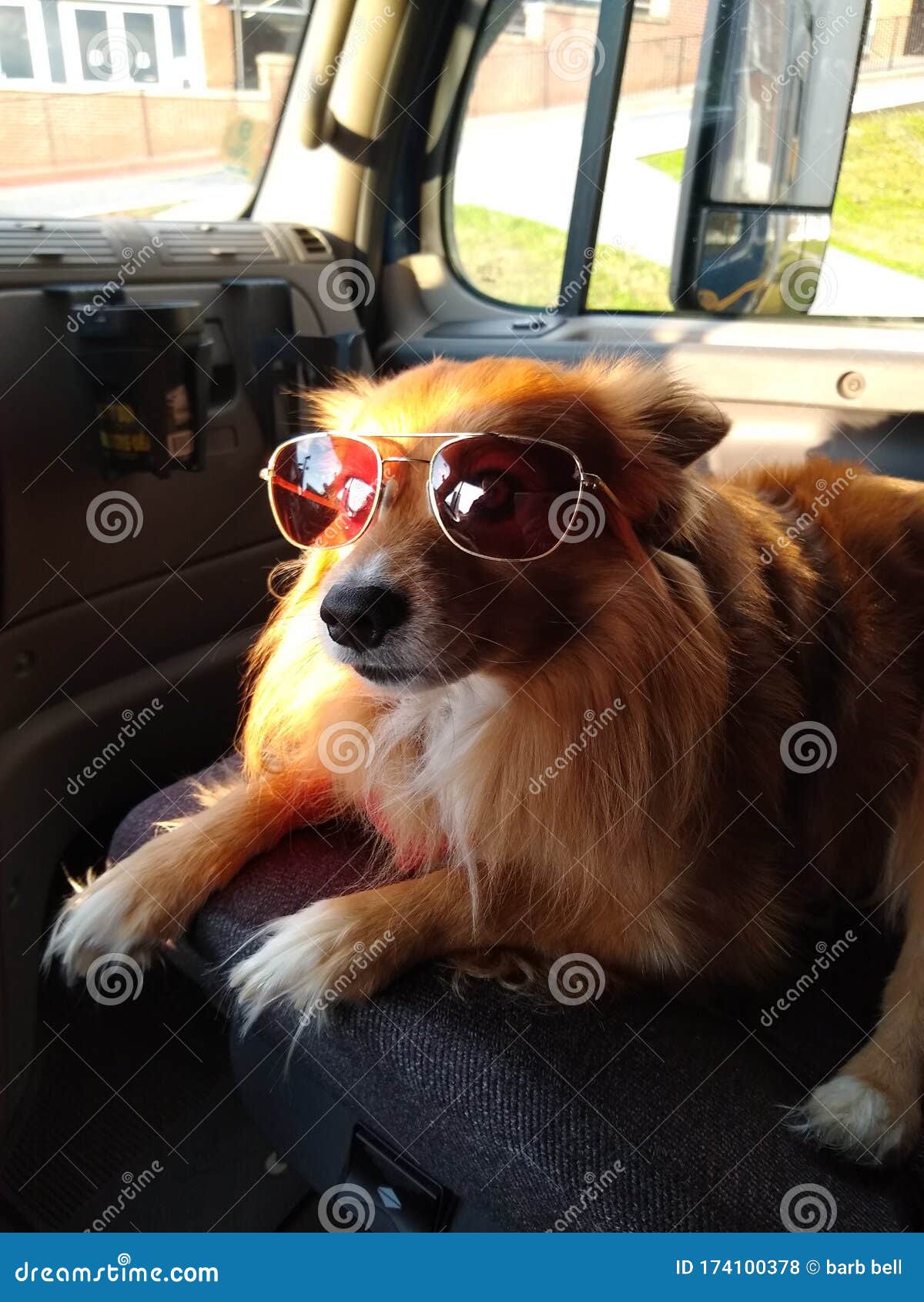 It& x27;s too bright stock photo. Image of sunny - 174100378