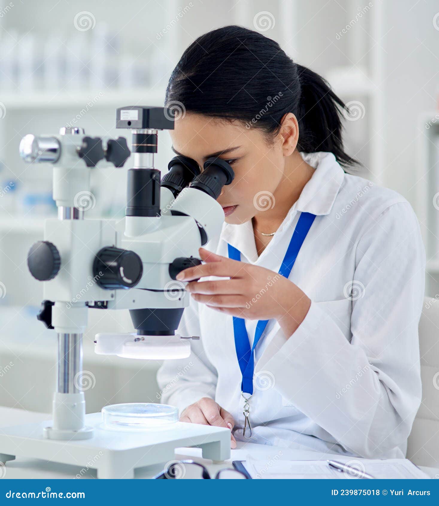 It's a Whole Other World Under the Microscope Stock Photo - Image of ...