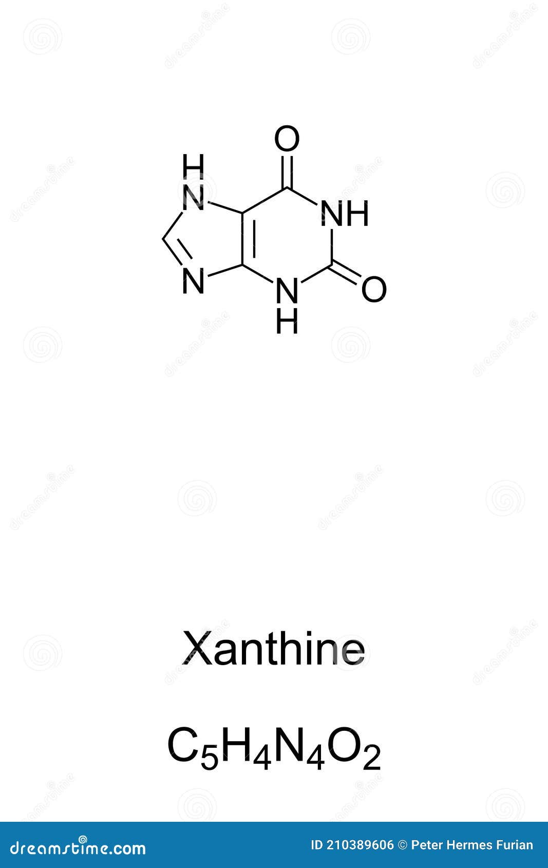 Xanthine, Xanthic Acid, Chemical Formula And Skeletal Structure Vector ...