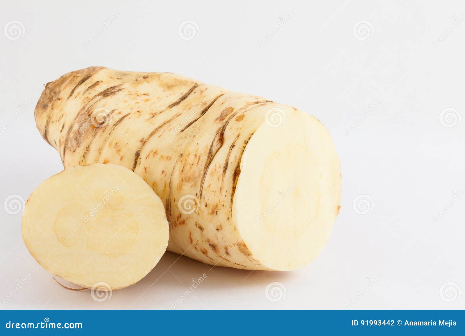 Xanthorrhiza De Arracacia Da Arracacha Foto de Stock - Imagem de corte ...