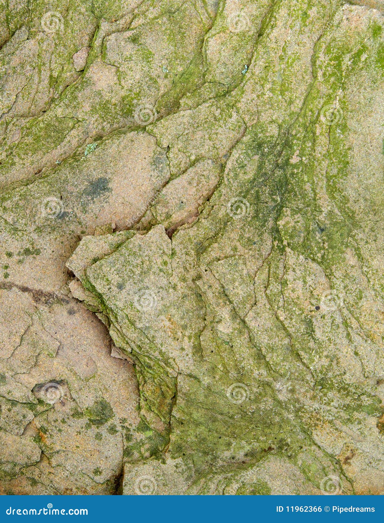 Xisto foto de stock. Imagem de granulado, musgos, camadas - 11962366