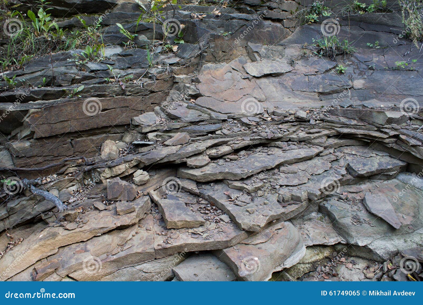 Xisto da rocha imagem de stock. Imagem de geologia, rocha - 61749065