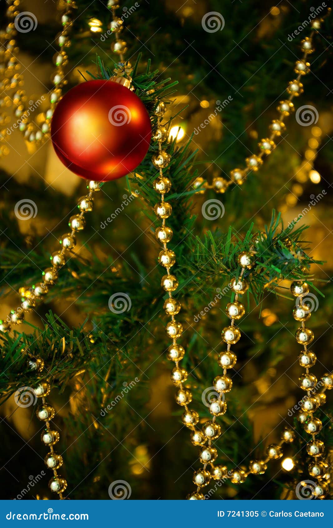 Xmas Ball stock image. Image of needles, branch, celebrate - 7241305
