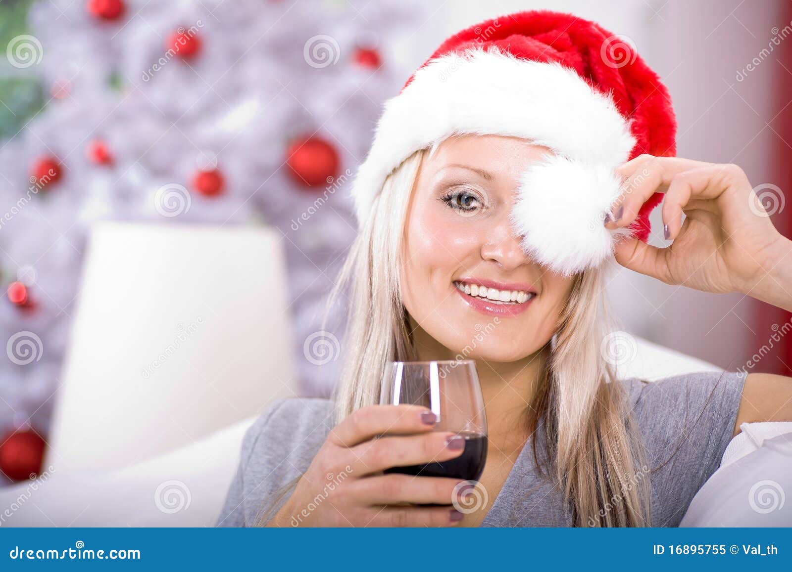 Xmas portrait stock image. Image of christmas, santa - 16895755