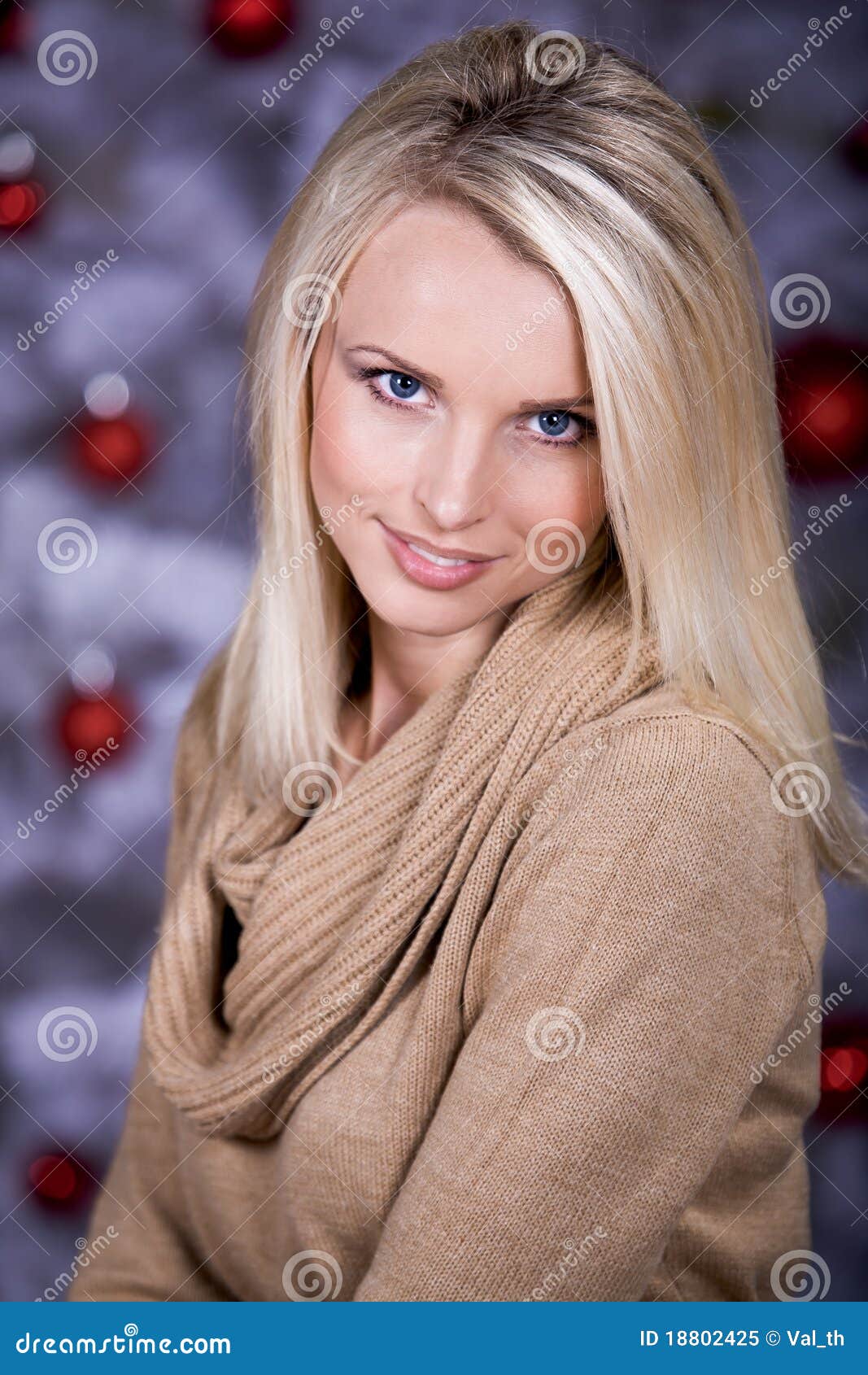 Xmas portrait stock image. Image of model, face, socialite - 18802425