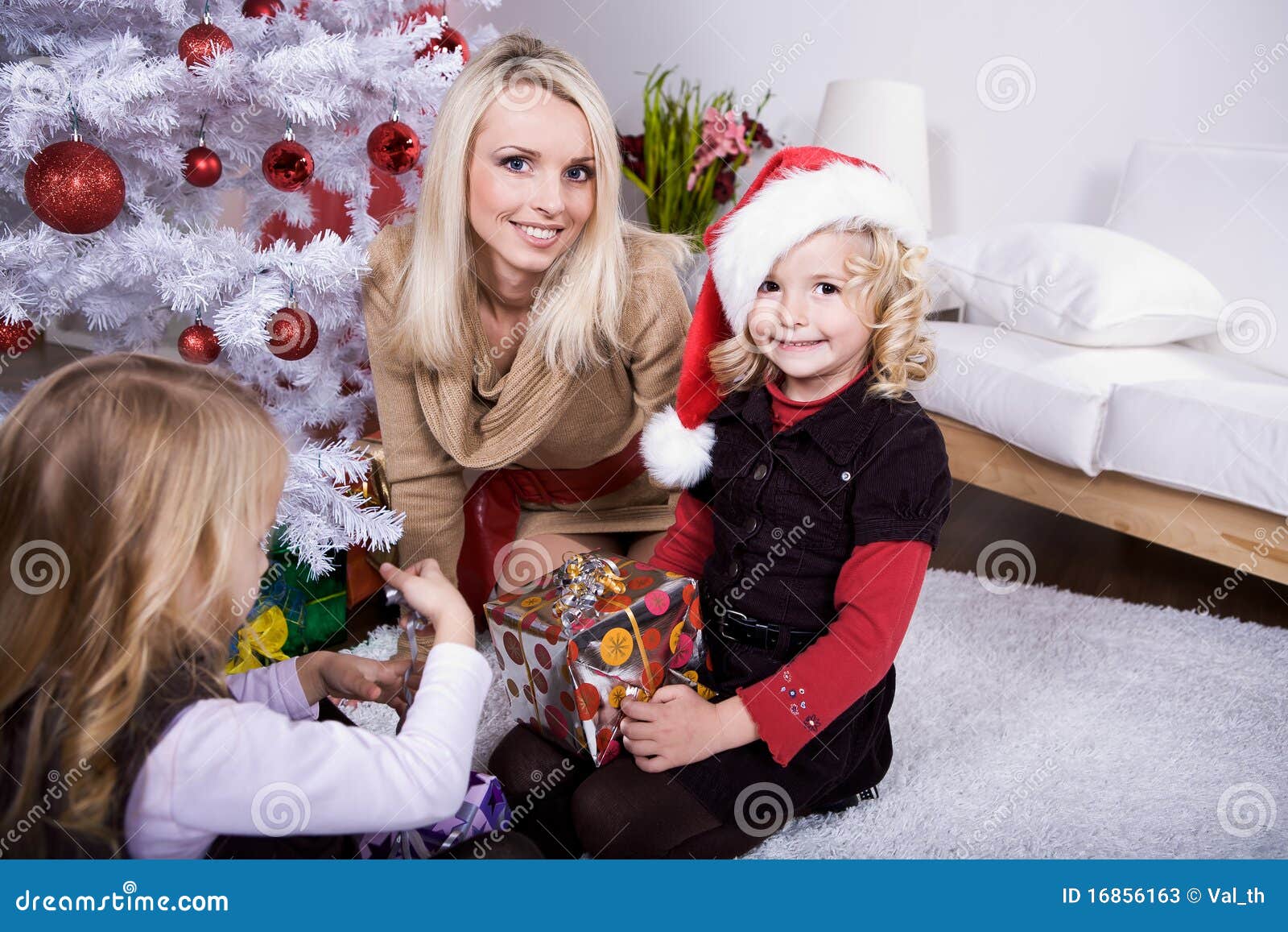 Xmas time stock image. Image of tree, christmas, domestic - 16856163