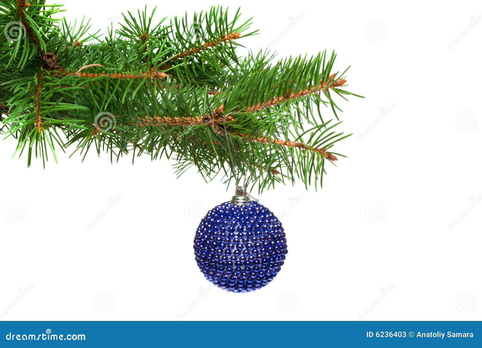 Xmas Tree Ball on a Christmas Tree Branch, Isolate Stock Image - Image ...