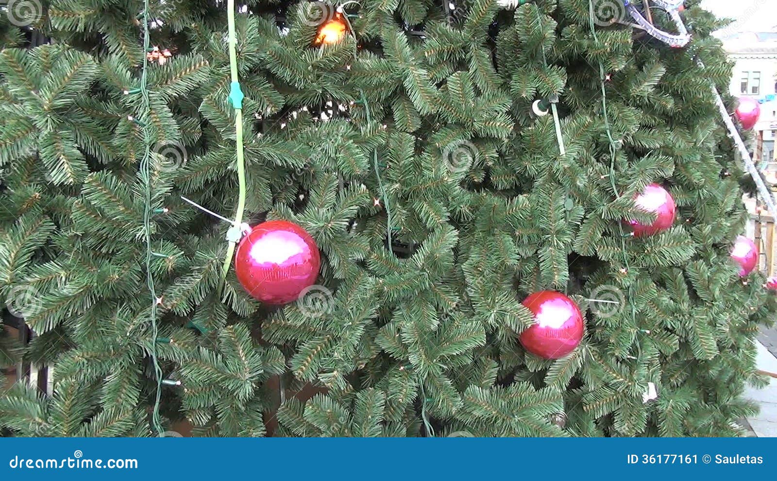 Xmas tree branch bubble stock video footage. Video of christmas - 36177161