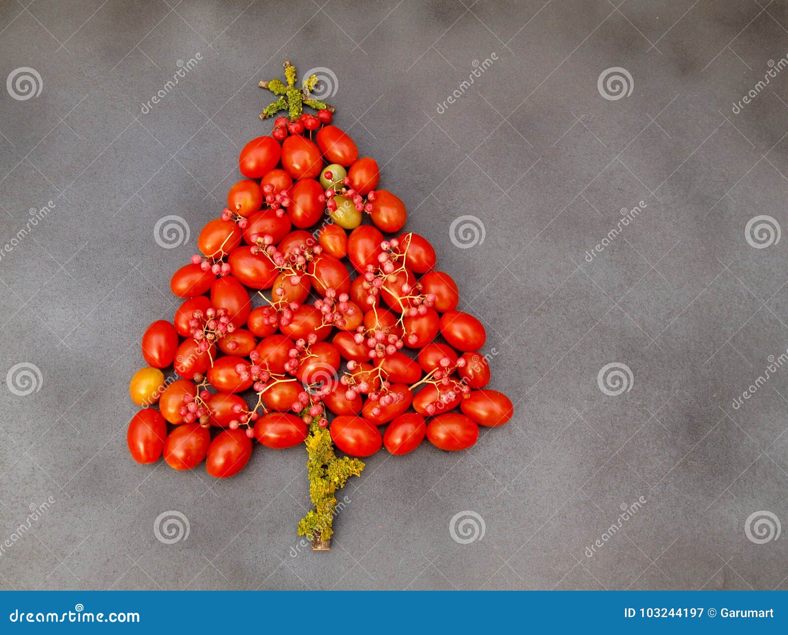 Xmas Tree with Cherry Tomatoes Stock Image - Image of nature, year ...