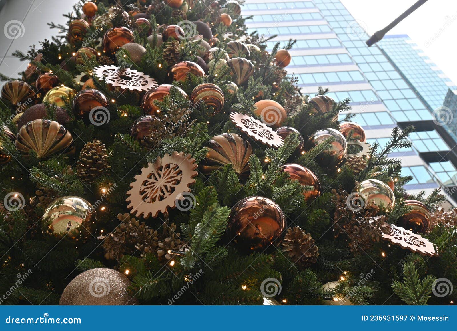 Xmas Tree Commercial Building Stock Image - Image of snow, greet: 236931597