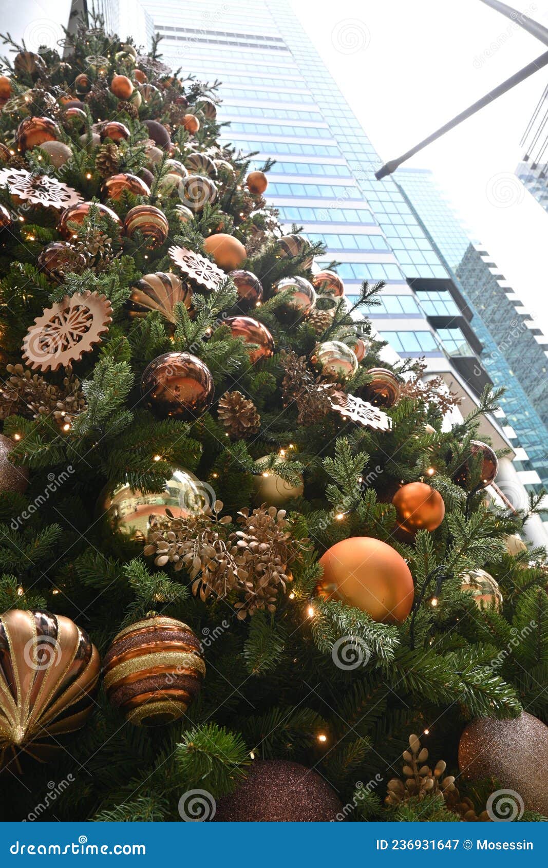 Xmas Tree Commercial Building Stock Image - Image of greeting, tall ...