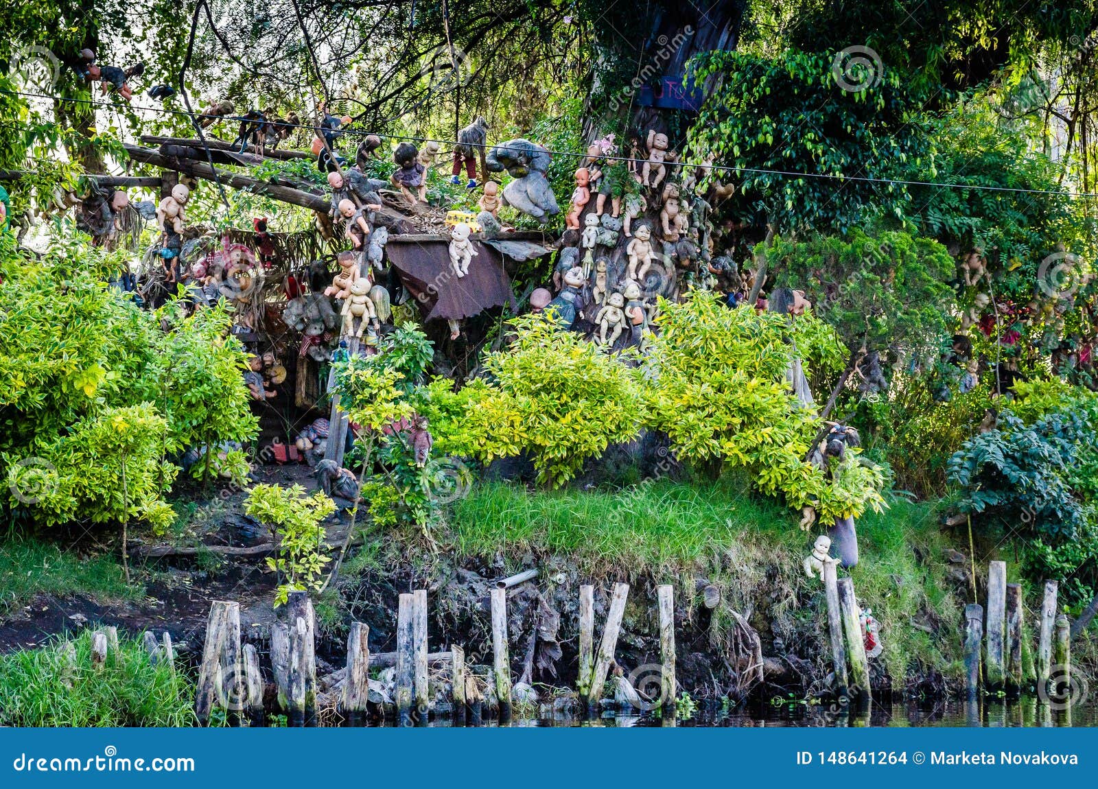 Xochimilco Canals Island Of Dolls Isla De Las Munecas Editorial Stock Image Image Of Nature 6744