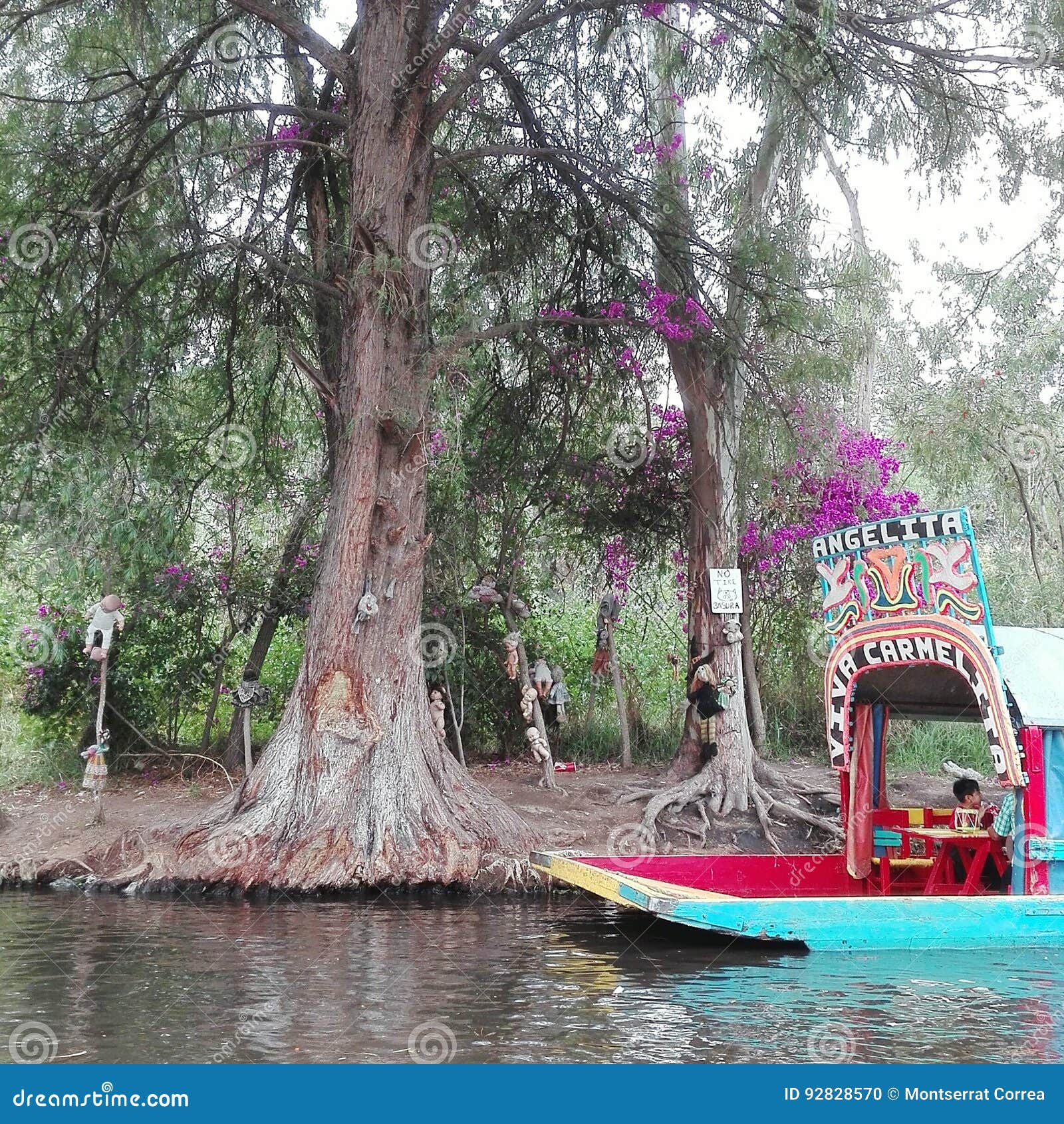 Xochimilco Lake stock photo. Image of traditional, water - 92828570