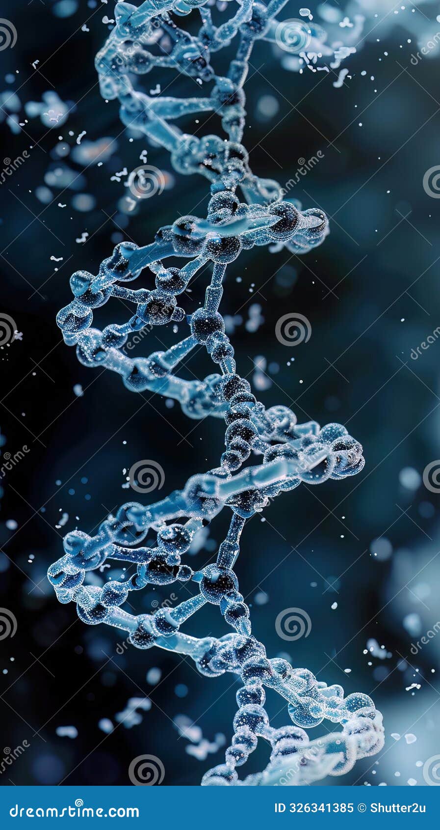 An Xray Crystallography Image of DNA Providing Insights into the ...