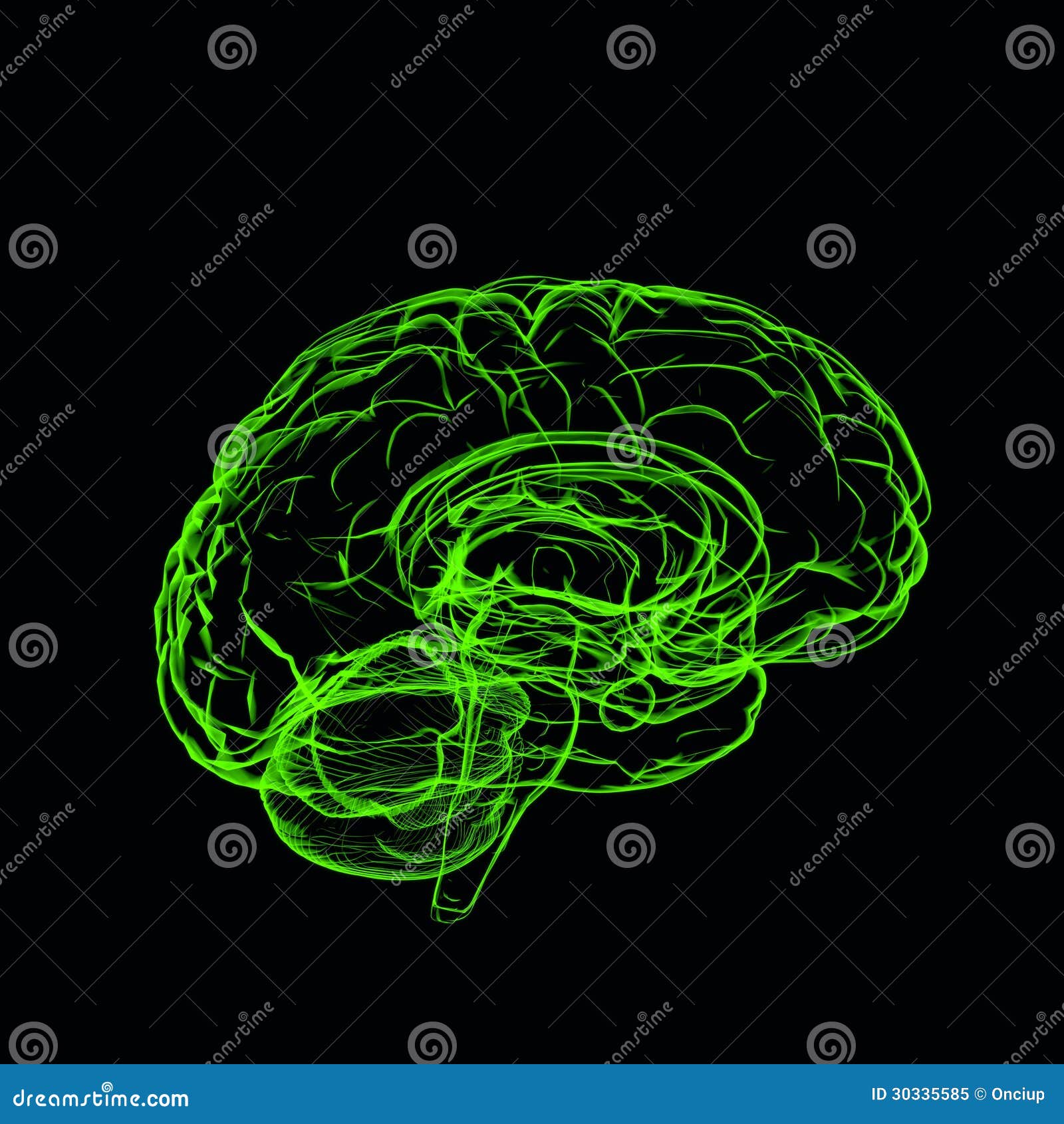 Xray green brain stock illustration. Illustration of idea - 30335585