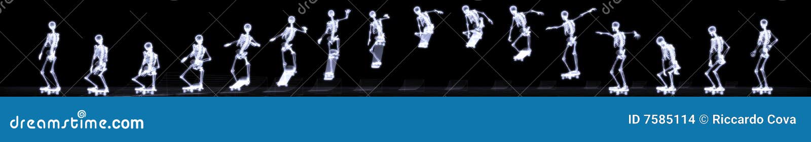 Xray of Human Skeleton Jumping Freestyle Stock Illustration ...