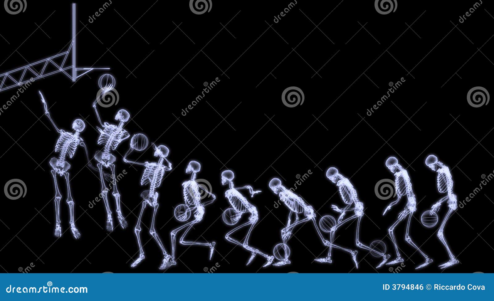 Xray of Human Skeleton Playing Basketball Stock Illustration ...