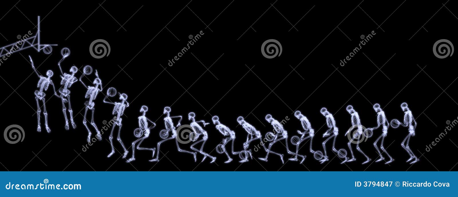 Xray of Human Skeleton Playing Basketball Stock Illustration ...