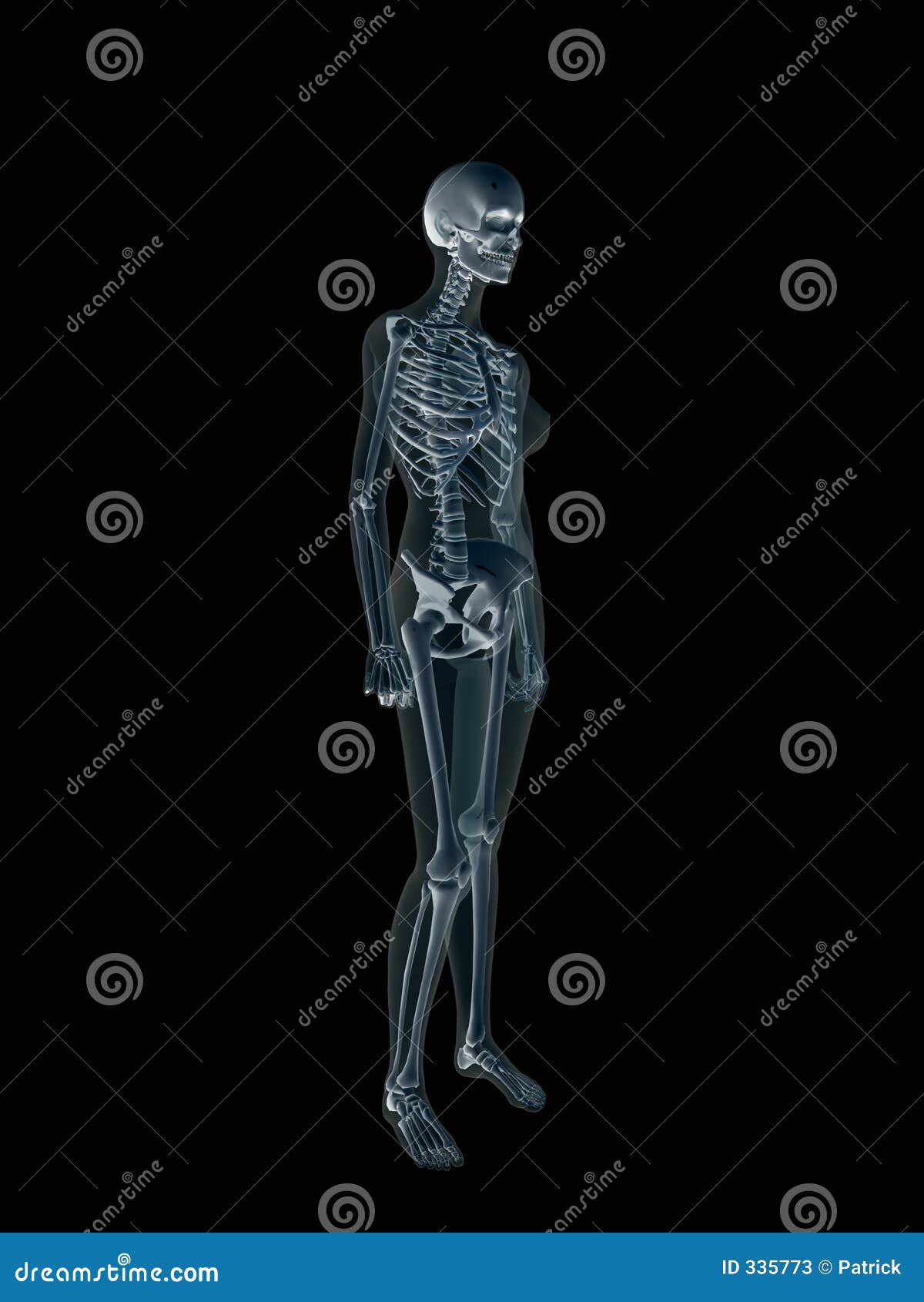 Xray, X-ray of the Human Female Body. Stock Illustration - Illustration ...