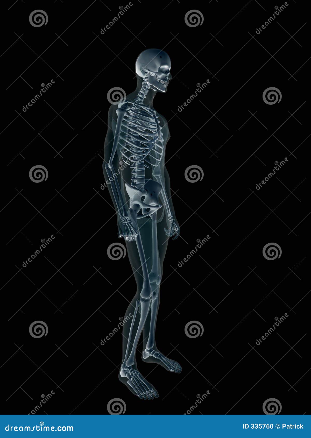 Xray, X-ray of the Human Male Body. Stock Illustration - Illustration ...