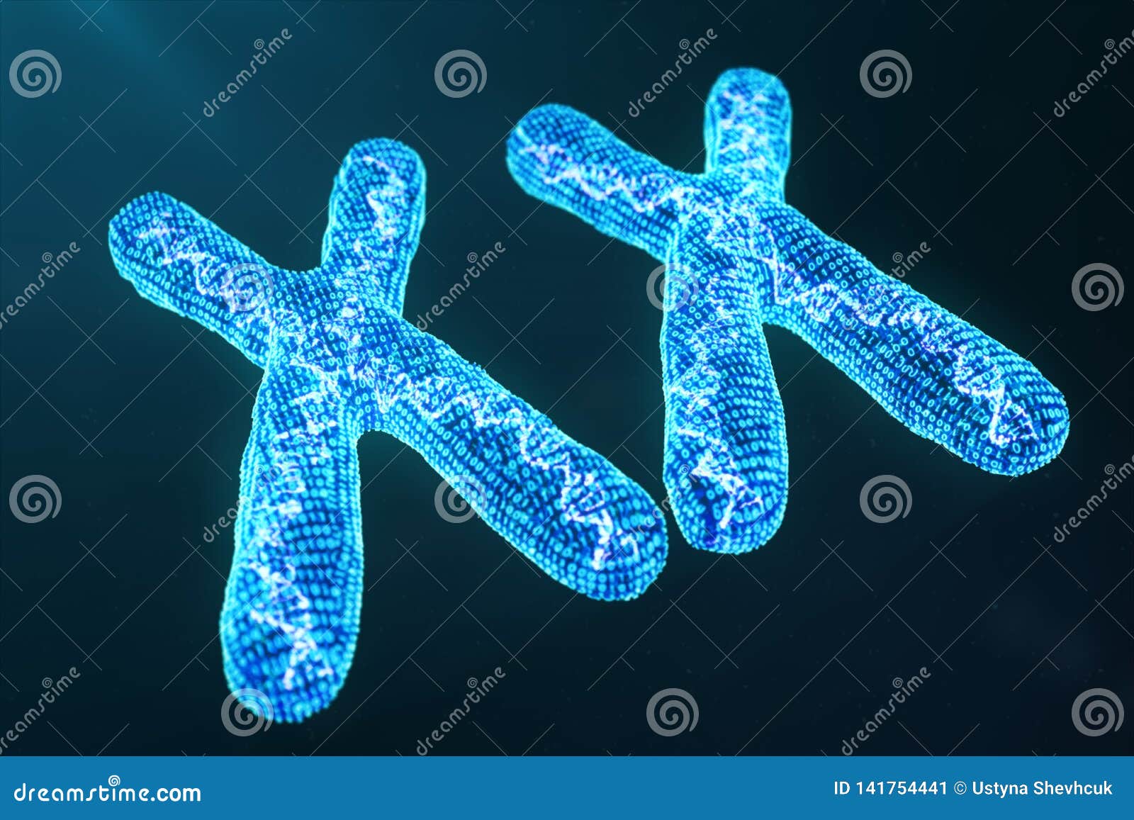 XX Digital, Artificial Chromosomes with DNA Carrying the Genetic Code ...