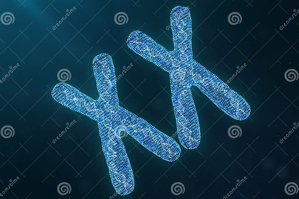 XX Digital, Artificial Chromosomes with DNA Carrying the Genetic Code ...
