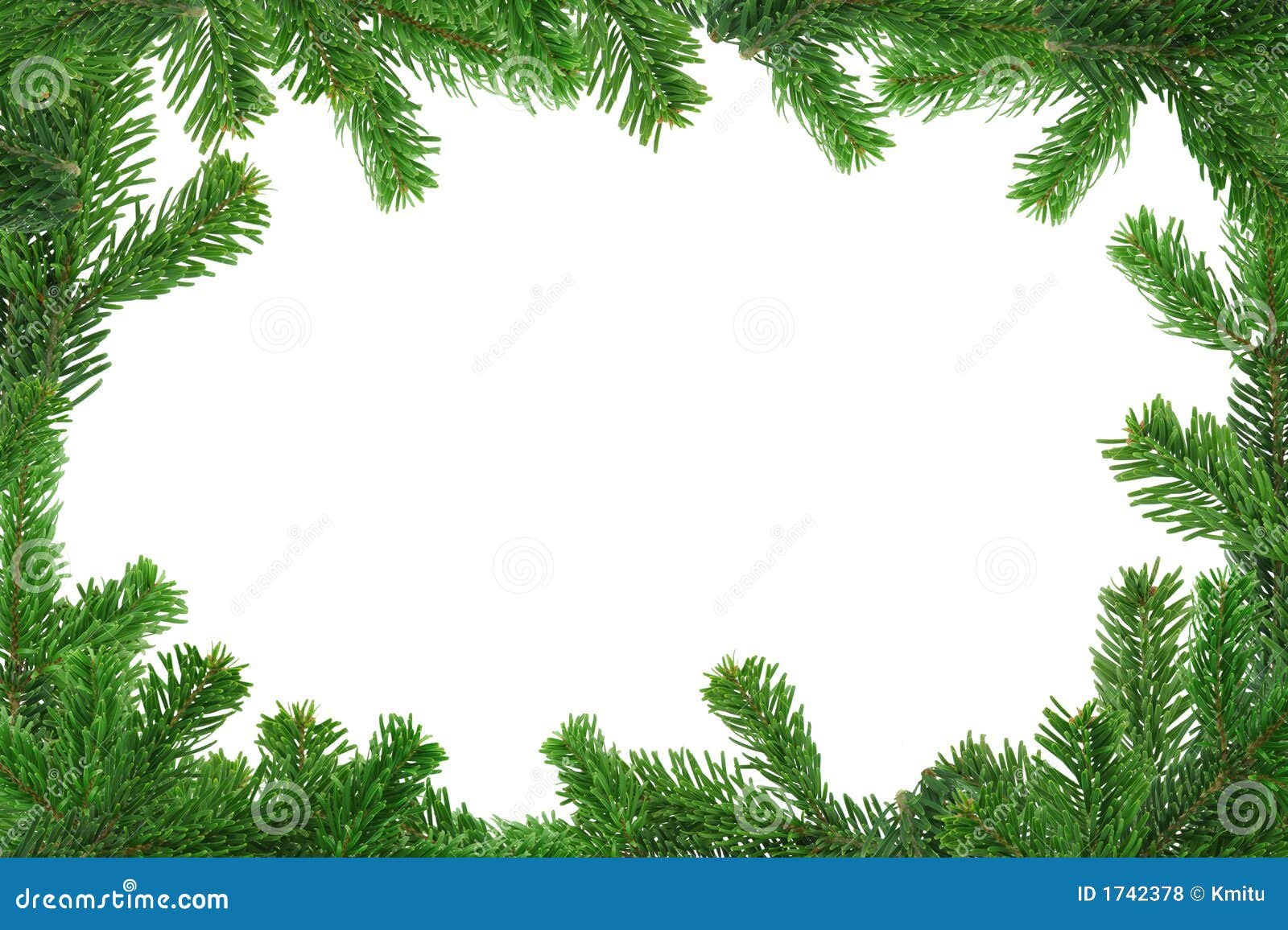 Xxl Image of Spruce Twig Frame Stock Photo - Image of greenery, nature ...