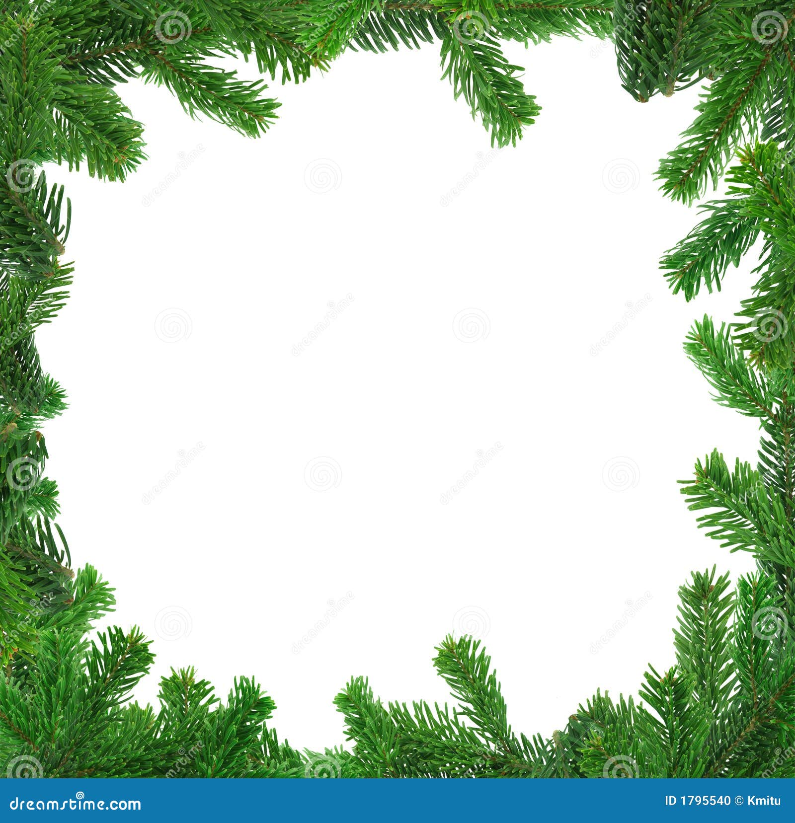 Xxl Image of Square Spruce Twig Frame Stock Photo - Image of background ...