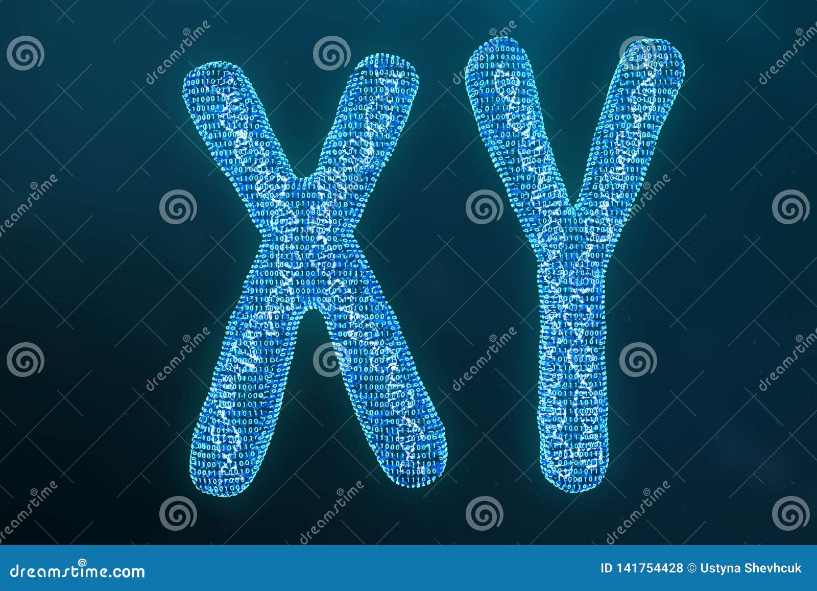 XY Digital, Artificial Chromosomes with DNA Carrying the Genetic Code ...