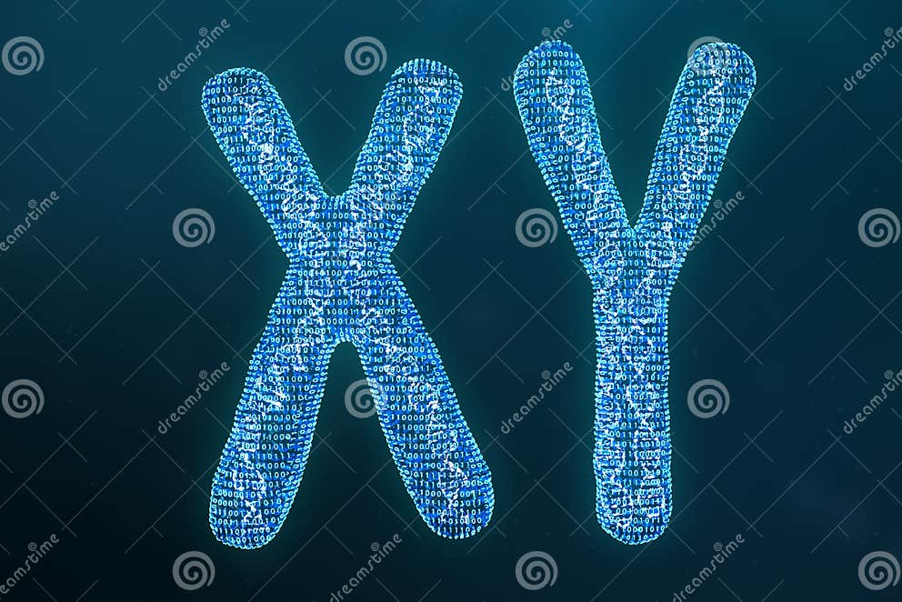 XY Digital, Artificial Chromosomes with DNA Carrying the Genetic Code ...