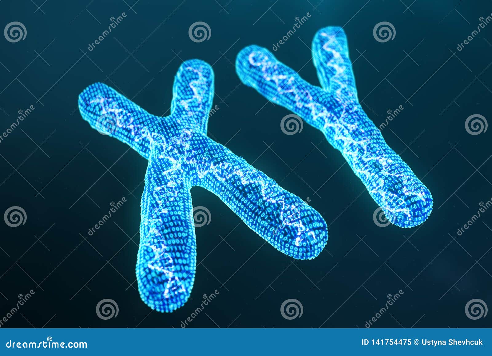 YY-Chromosomes With DNA Carrying The Genetic Code. Genetics Concept ...
