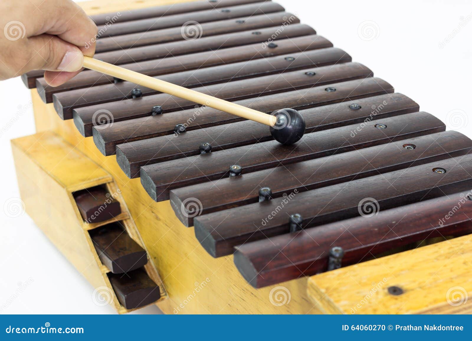 Xylofonen arkivfoto. Bild av vitt, musikal, xylofon, instrument - 64060270