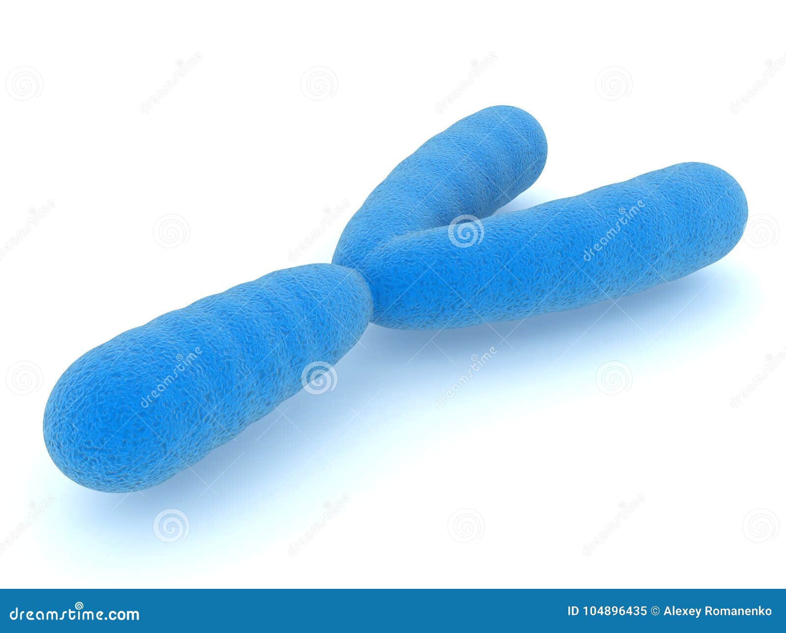 Y-Chromosom stock abbildung. Illustration von gesund - 104896435