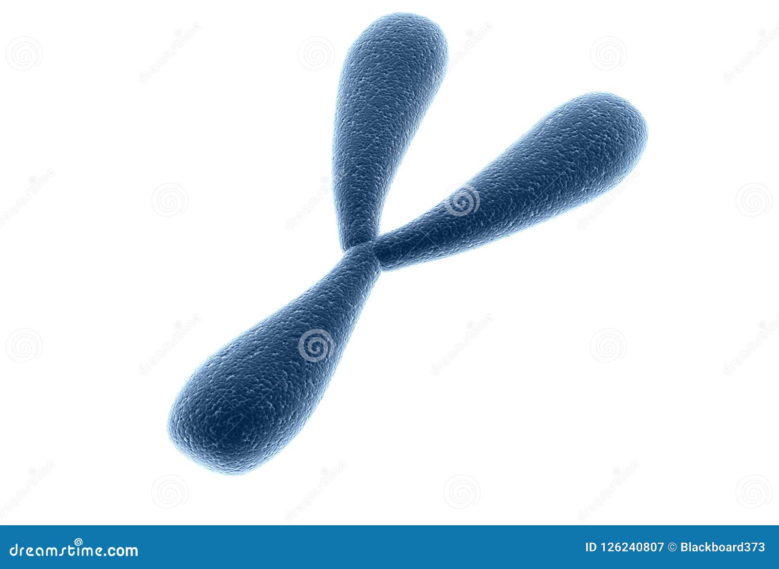 Y Chromosome in White Background. 3d Render Stock Illustration ...
