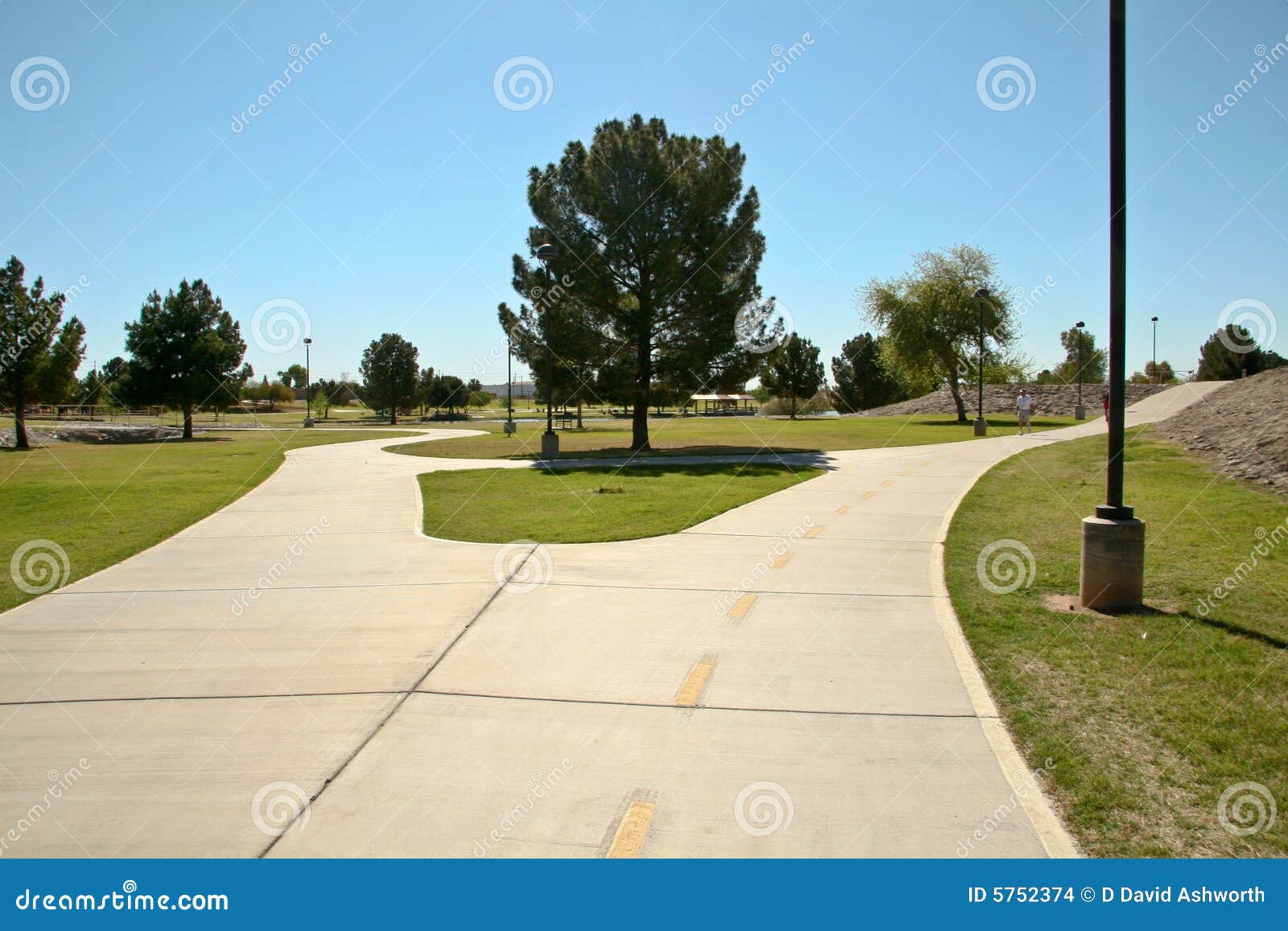 Y in the multi-use path stock photo. Image of yellow, scottsdale - 5752374