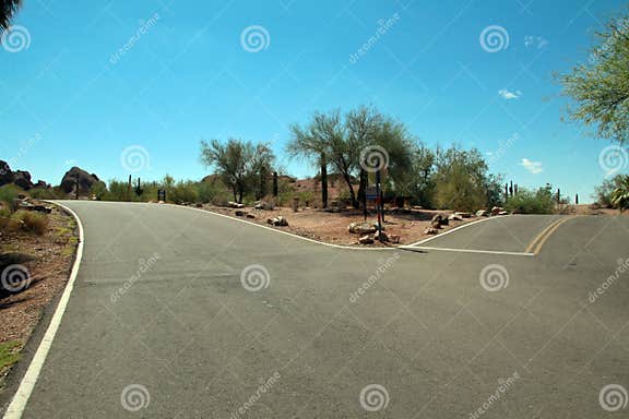 Y in the road stock image. Image of lane, yellow, road - 5596937