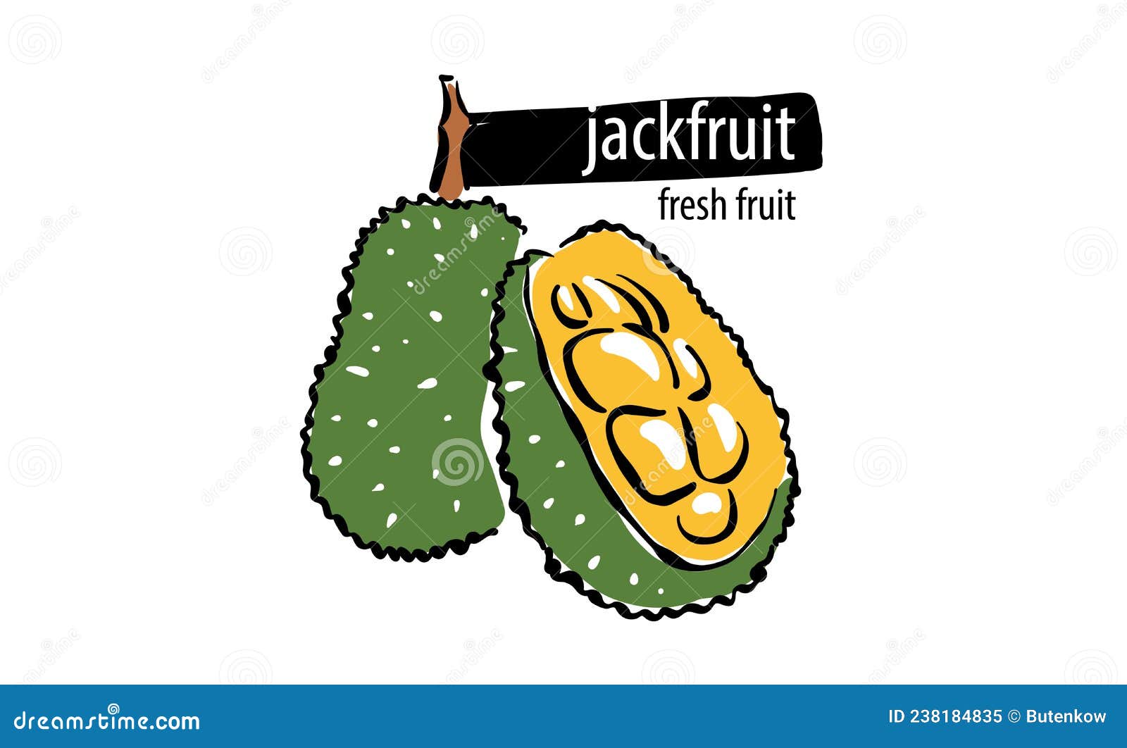 Yaca Vectorial Dibujada Sobre Fondo Blanco Ilustración del Vector ...