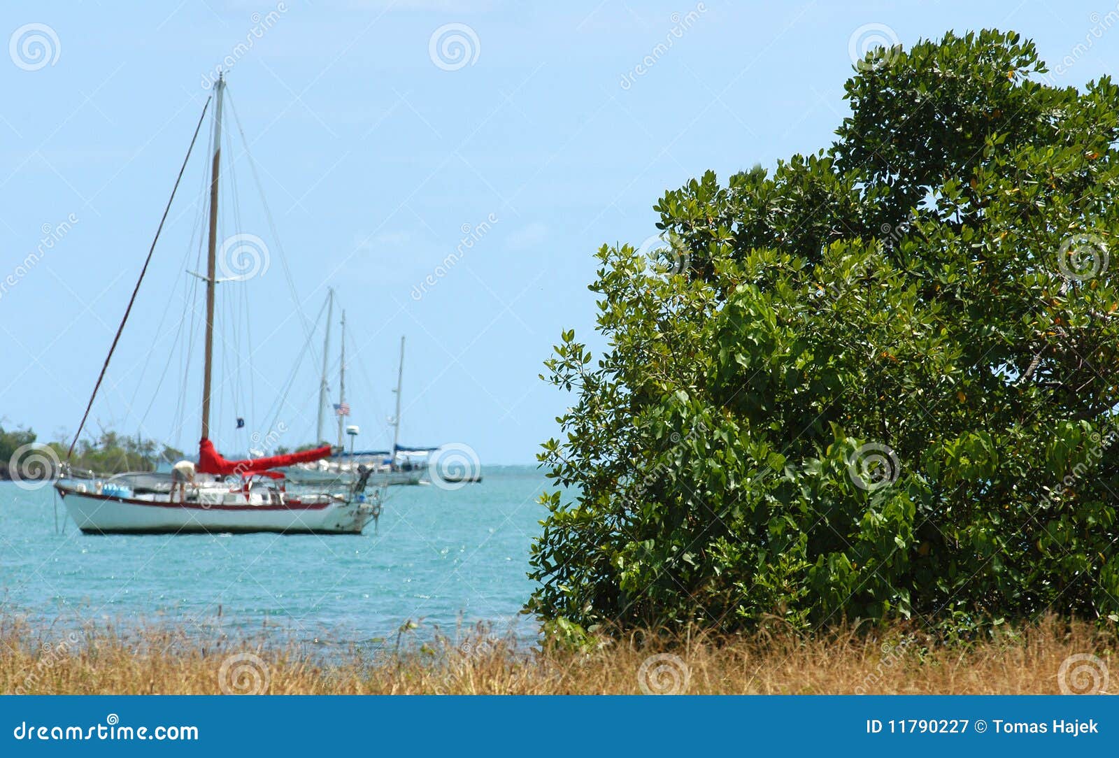 Yach imagem de stock. Imagem de cedo, porta, nave, georgiana - 11790227