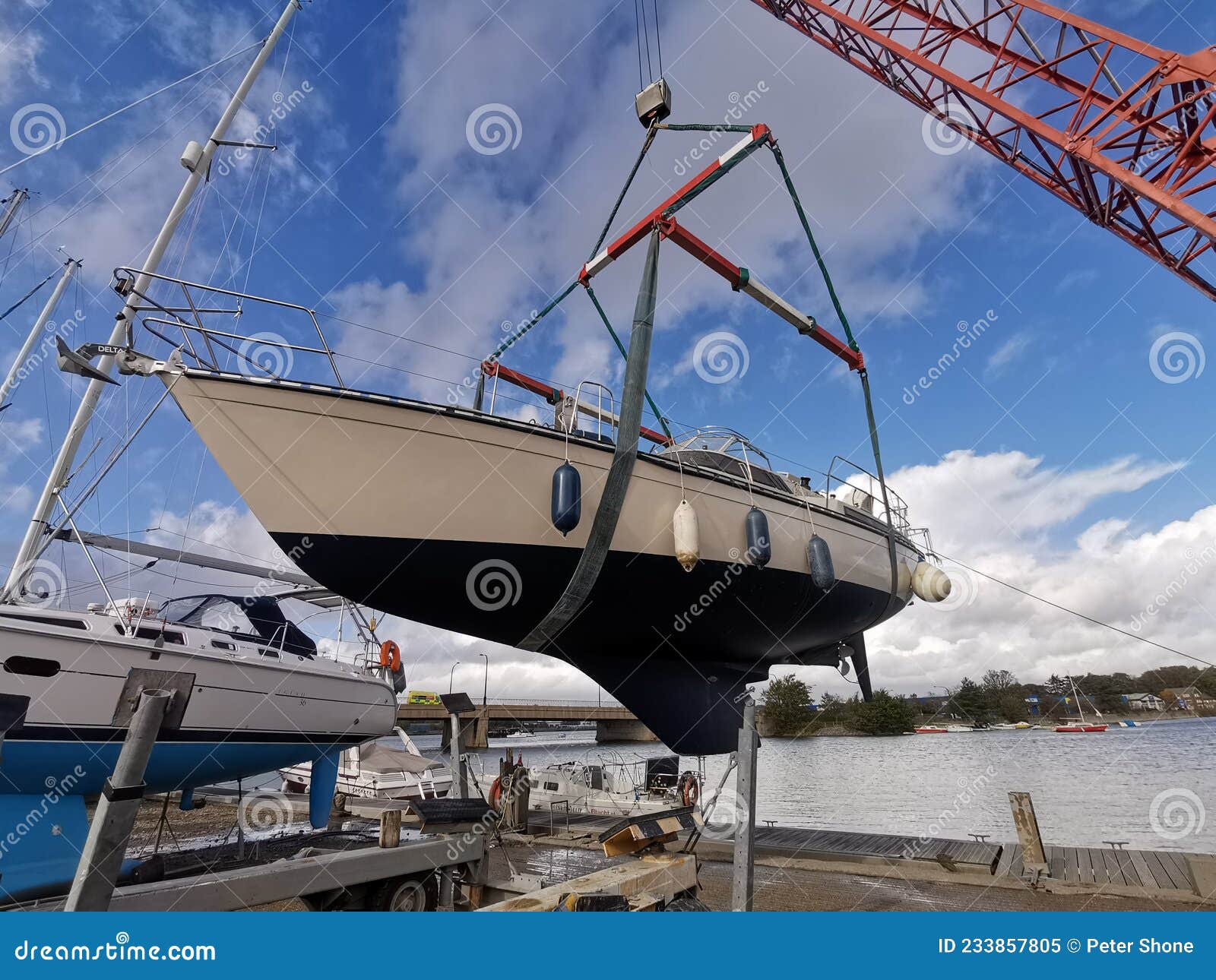 Red-Craned Crane Stock Photography | CartoonDealer.com #50115014